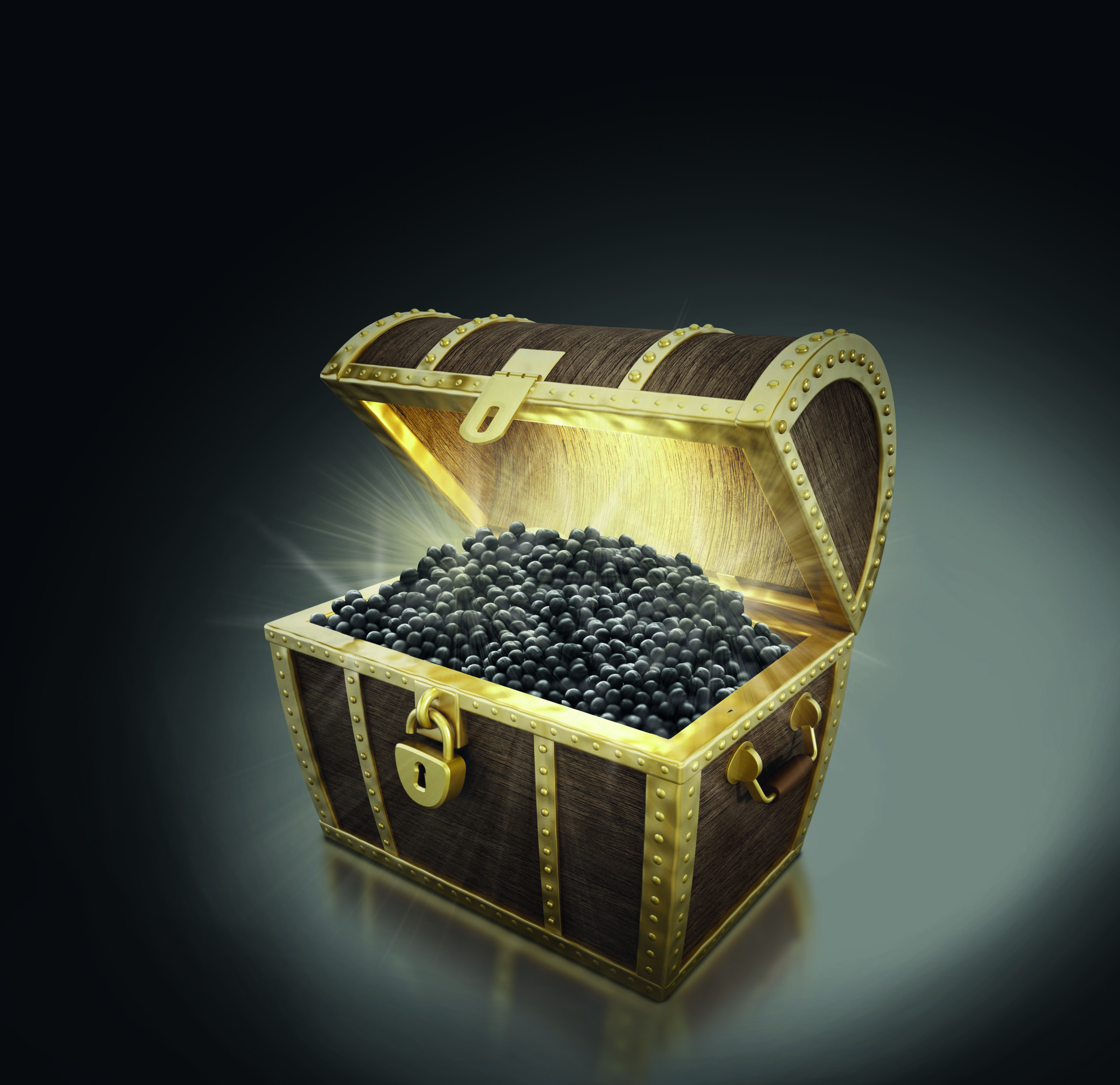 RGT Trezzor - Hochleistungs-Rapssorte für Optimale Erträge | RAGT ...